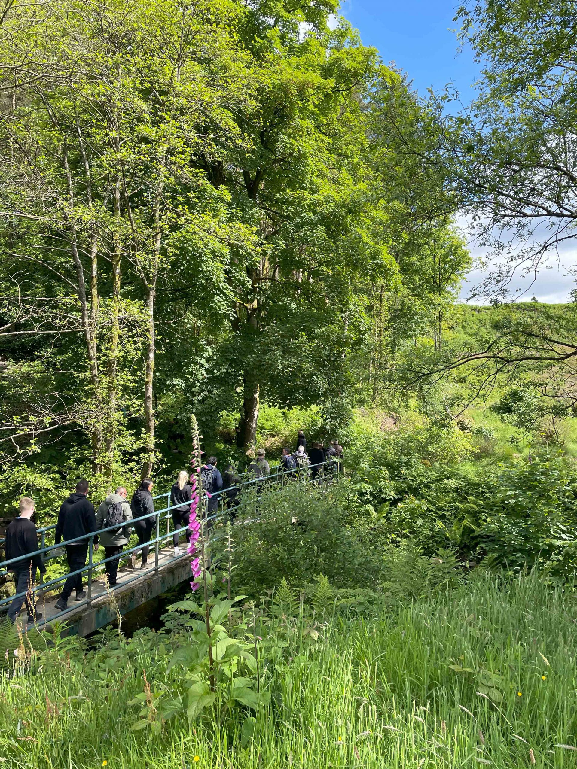 Himalayan Balsam Bashing with the Woodland Trust - Dayinsure