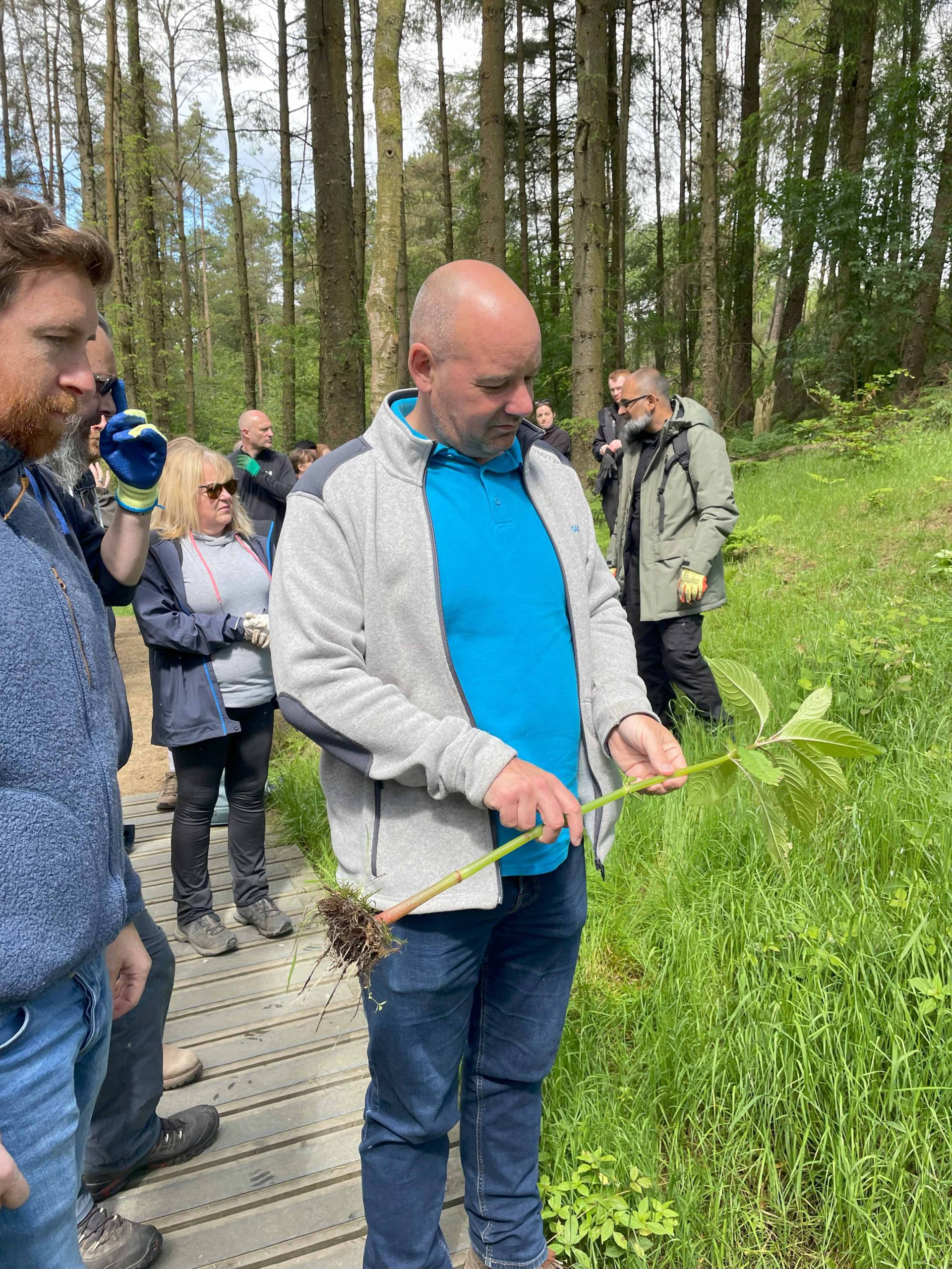 Himalayan Balsam Bashing with the Woodland Trust - Dayinsure