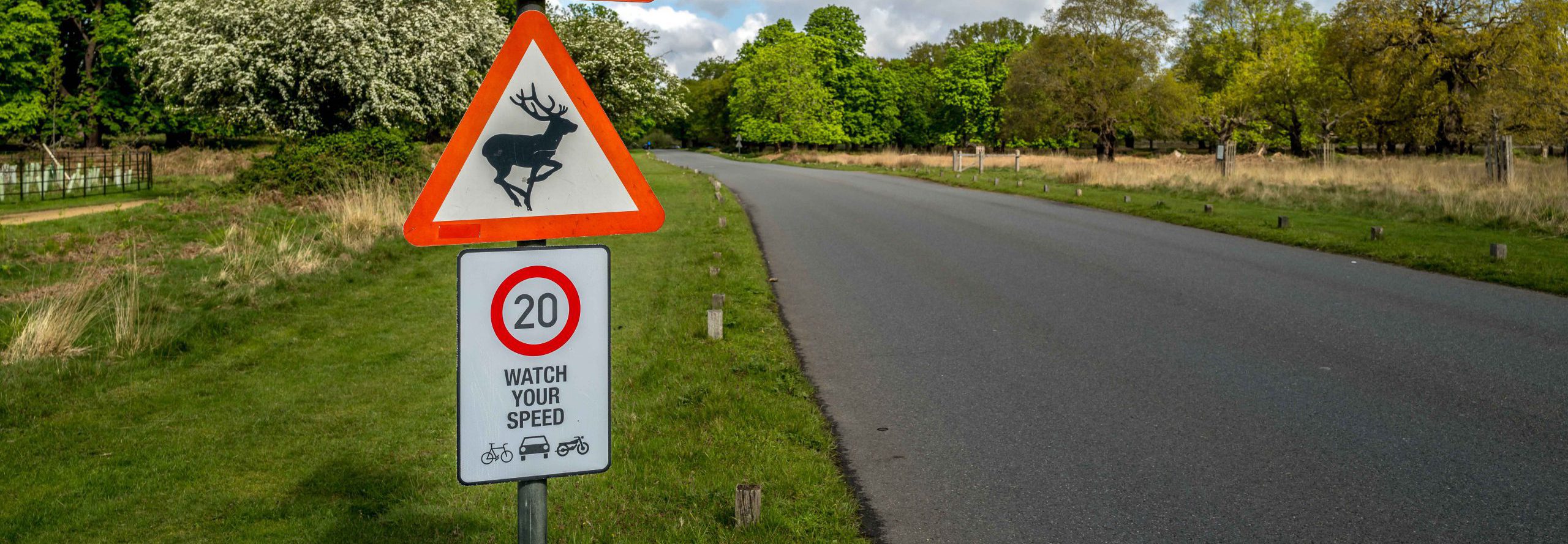 Some uncommon road signs and what they mean - Dayinsure